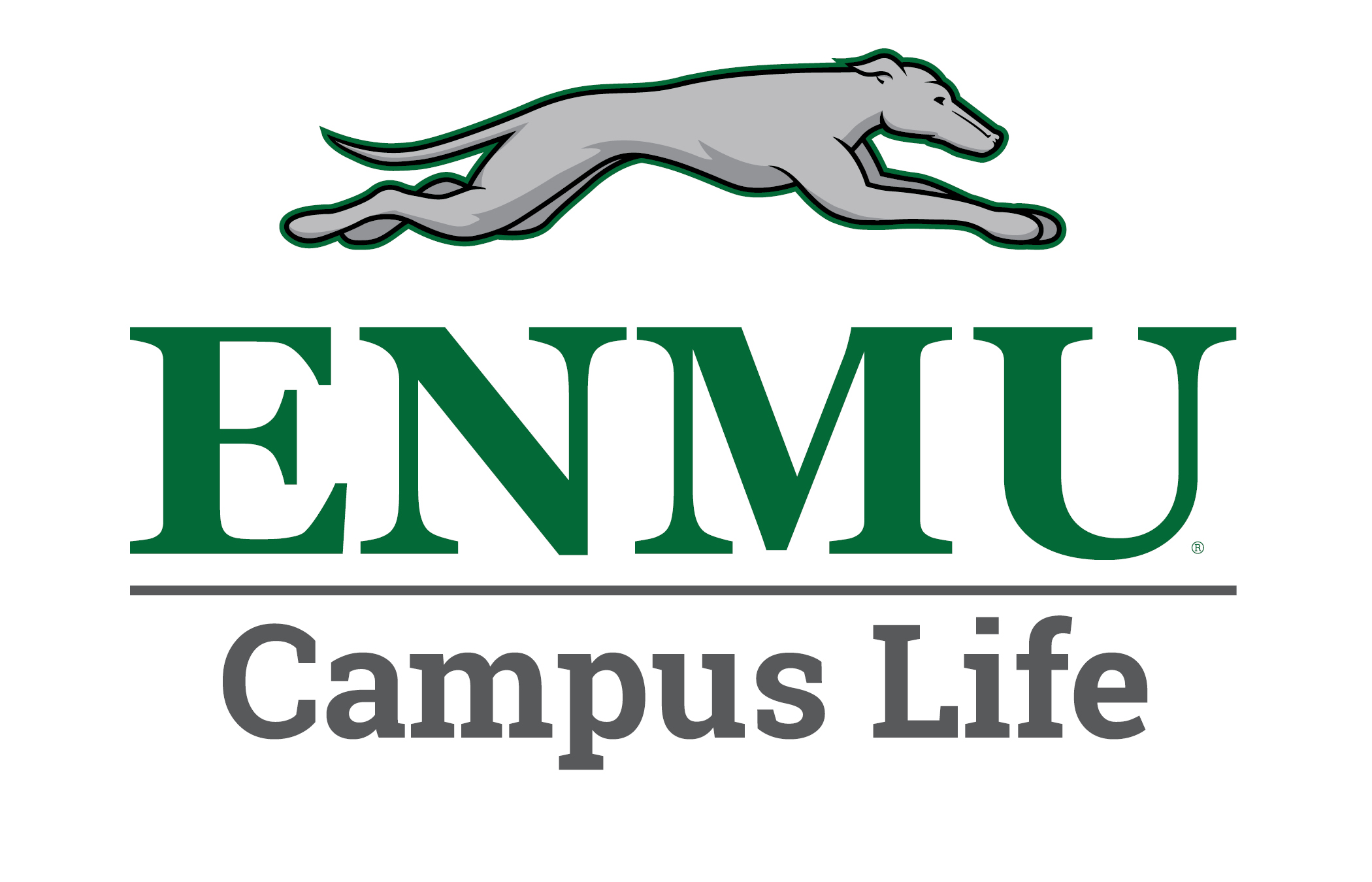 Leadership Recognition Awards Nomination Packet